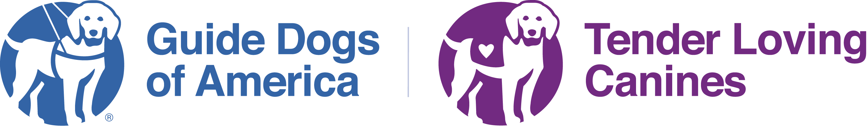 Guide Dogs of America - District 142